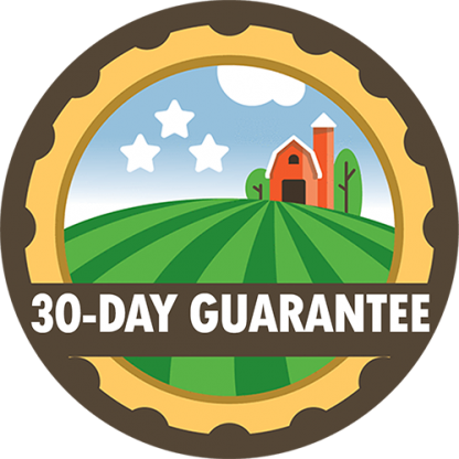 1 200 Romaine Lettuce Parris Seeds Honest Seed Co 