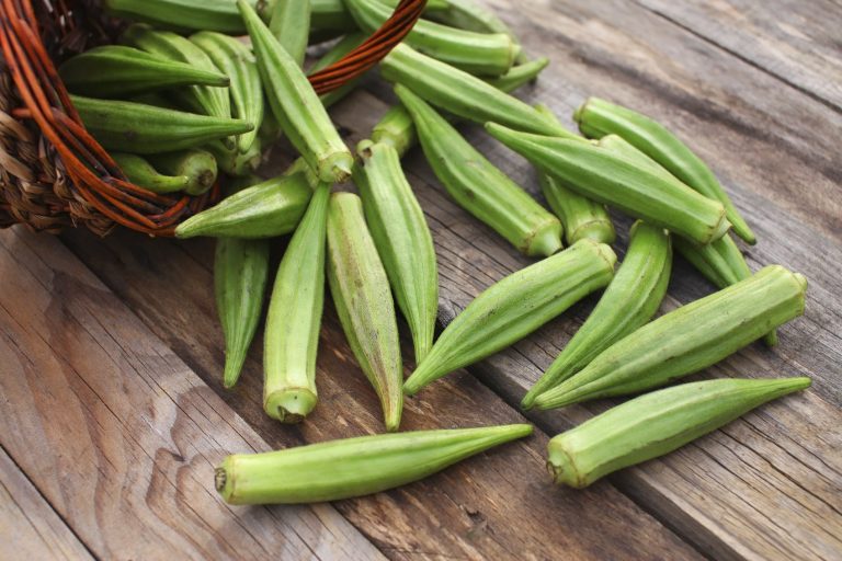100+ Emerald Okra Seeds - Honest Seed Co.