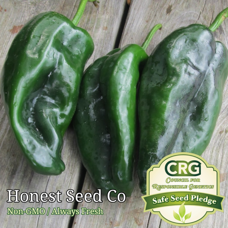 Italian Pepperoncini Pepper Seeds - Honest Seed Co.