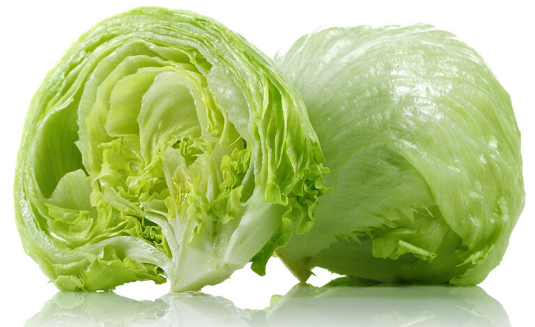 Crisphead Iceberg Lettuce Seeds - Honest Seed Co.