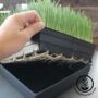 Professional Microgreen Growing Kit w/ Seeds - Honest Seed Co.